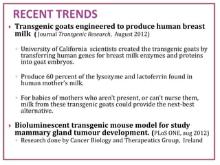 Transgenic animals | PPTX