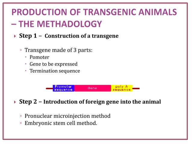 Transgenic animals | PPTX | Genetics | Science