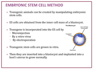 Transgenic animals | PPTX