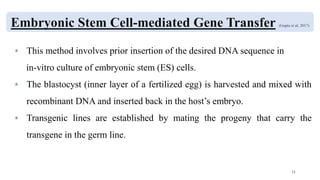 Transgenic animal | PPTX