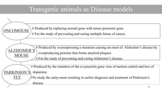 Transgenic animal | PPT