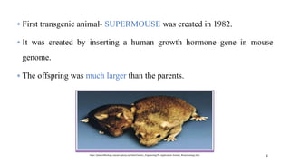 Transgenic animal | PPTX | Reproductive Health | Diseases and Conditions