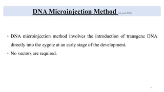 Transgenic animal | PPTX | Reproductive Health | Diseases and Conditions