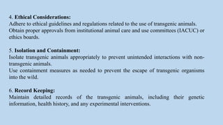 TRANSGENIC ANIMAL.pptx