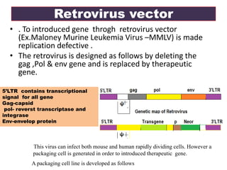 Transgenic animal production and its application | PPT