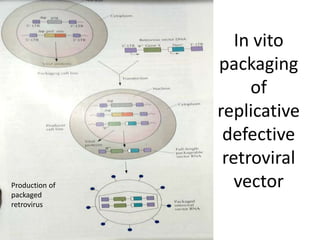 Transgenic animal production and its application | PPT