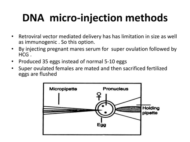 Transgenic animal production and its application | PPT