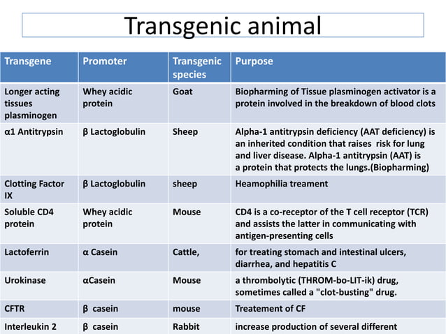 Transgenic animal production and its application | PPT | Genetics | Science
