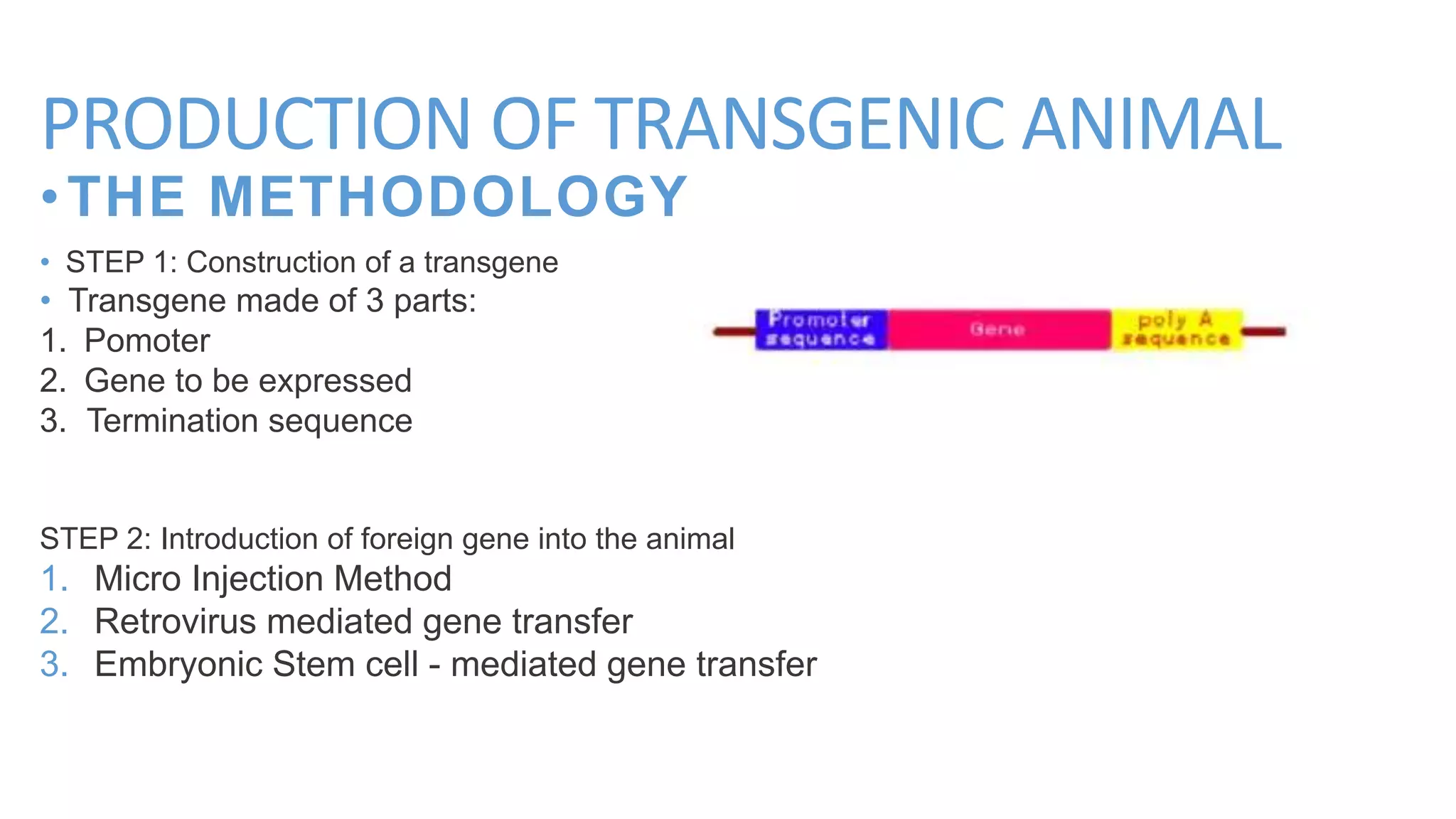 Transgenic animal (pharmacology) (M.PHARM) | PPTX