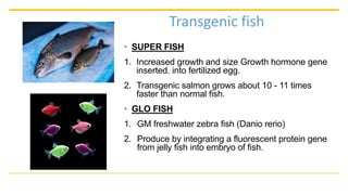 Transgenic animal (pharmacology) (M.PHARM) | PPTX