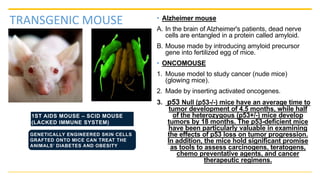 Transgenic animal (pharmacology) (M.PHARM) | PPTX