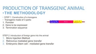 Transgenic animal (pharmacology) (M.PHARM) | PPTX