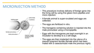 Transgenic animal (pharmacology) (M.PHARM) | PPTX