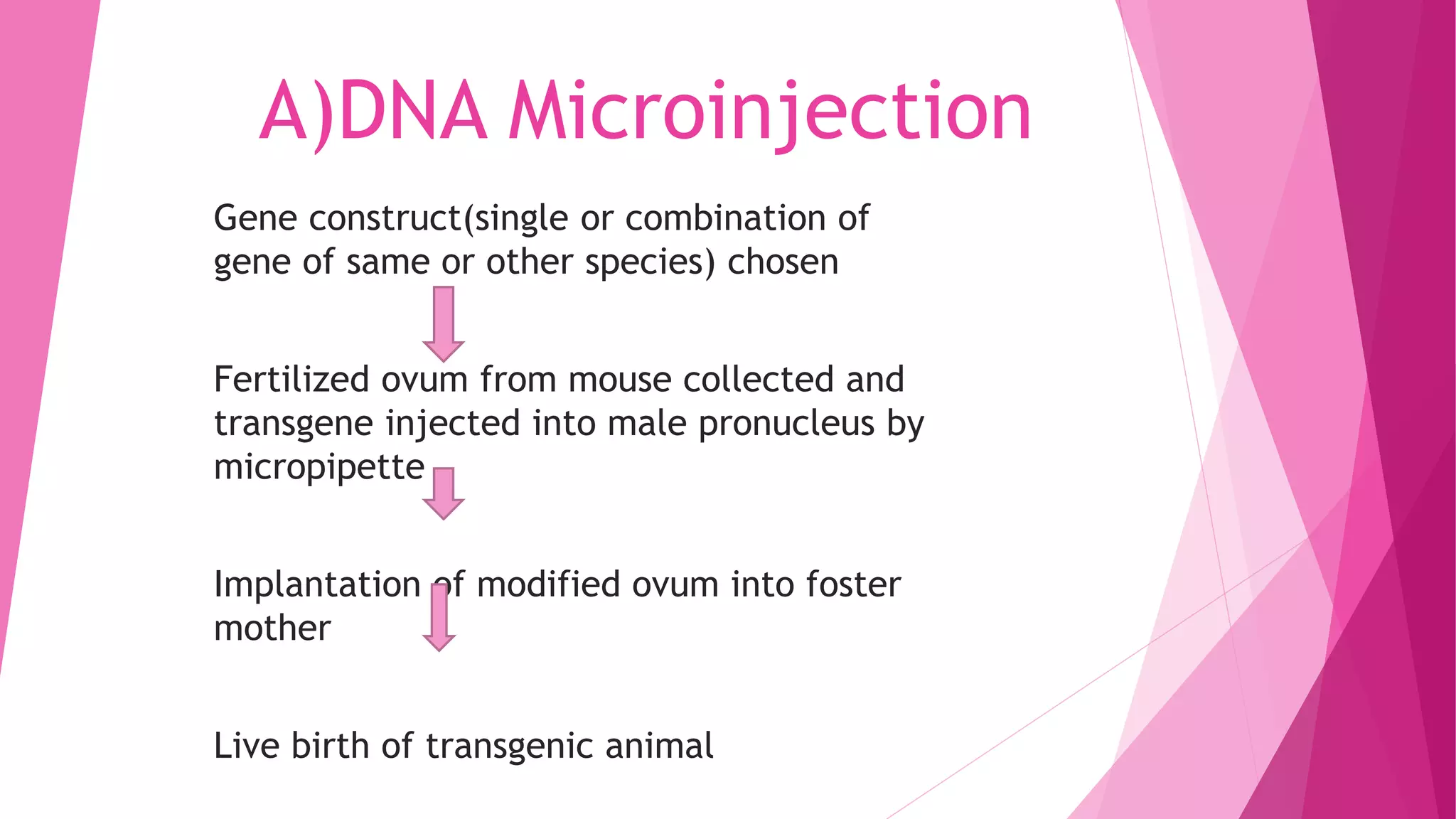 Transgenic animal and their use in drug development.pptx