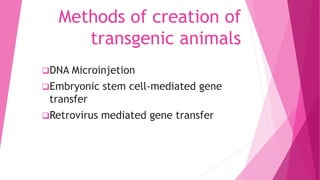 Transgenic animal and their use in drug development.pptx