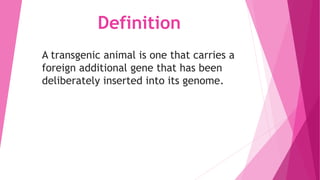 Transgenic animal and their use in drug development.pptx