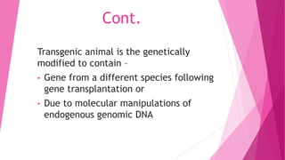 Transgenic animal and their use in drug development.pptx