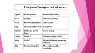Transgenic animal and their use in drug development.pptx