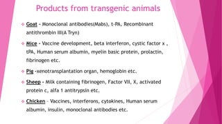 Transgenic animal and their use in drug development.pptx