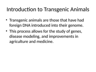 Transgenic_Animal_Production_PPT.pptxnsnzmzmxmkxmx | PPTX