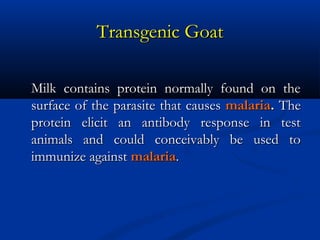 Transgenic animal prof.a.k.saha