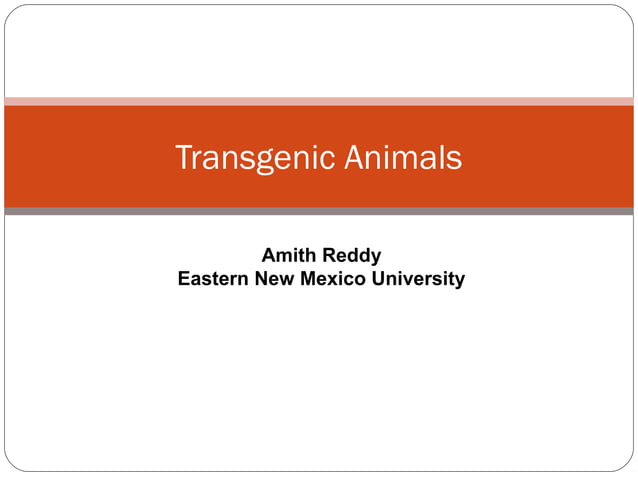 Transgenic Animals | PPT | Genetics | Science