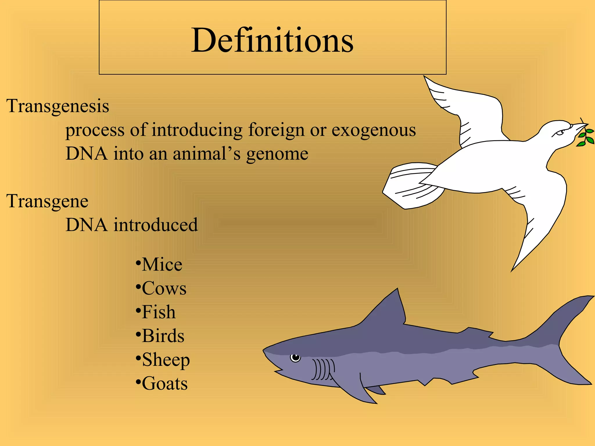 Transgenic animals | PPT