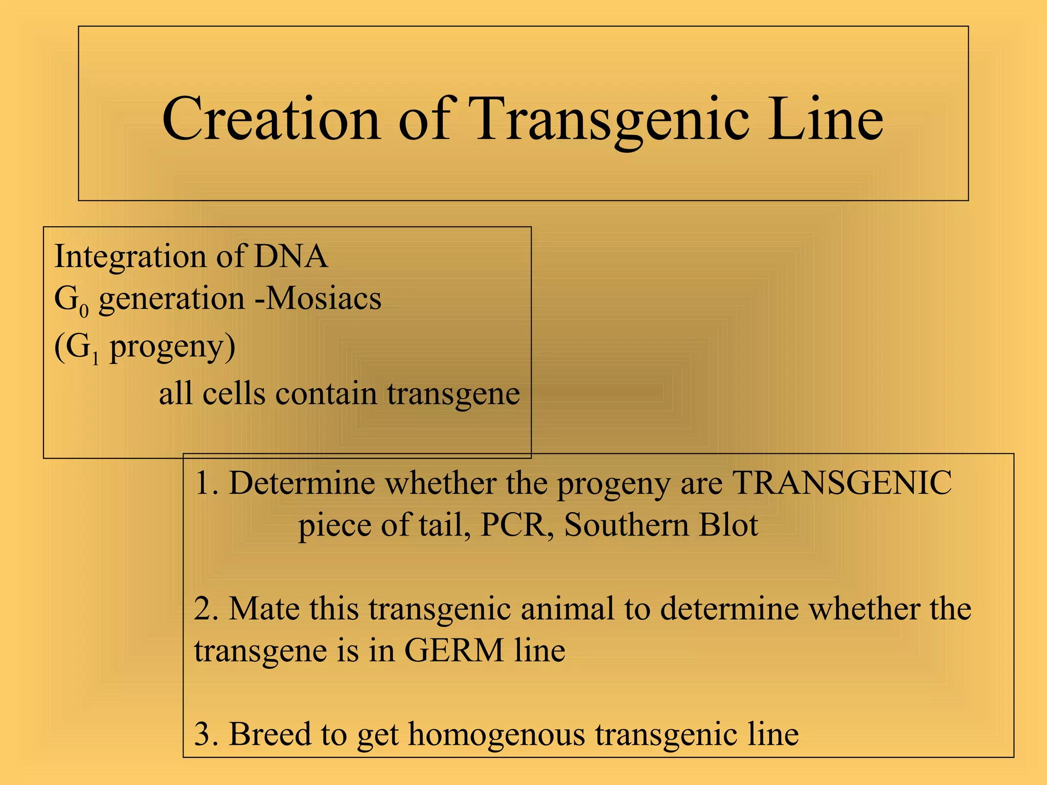 Transgenic animals | PPT
