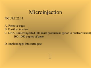 Transgenic animals | PPT