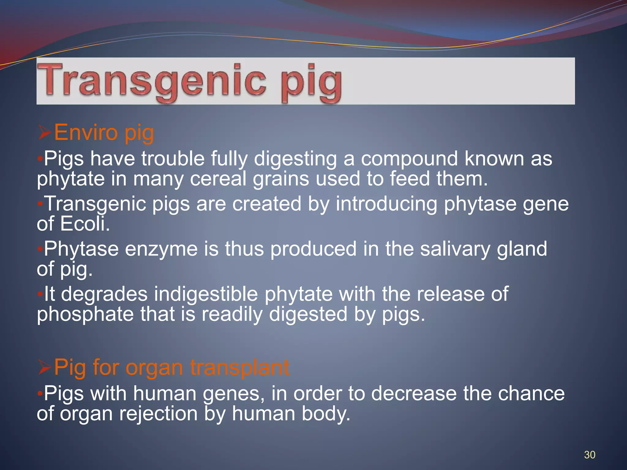 Transgenic Animals | PPTX