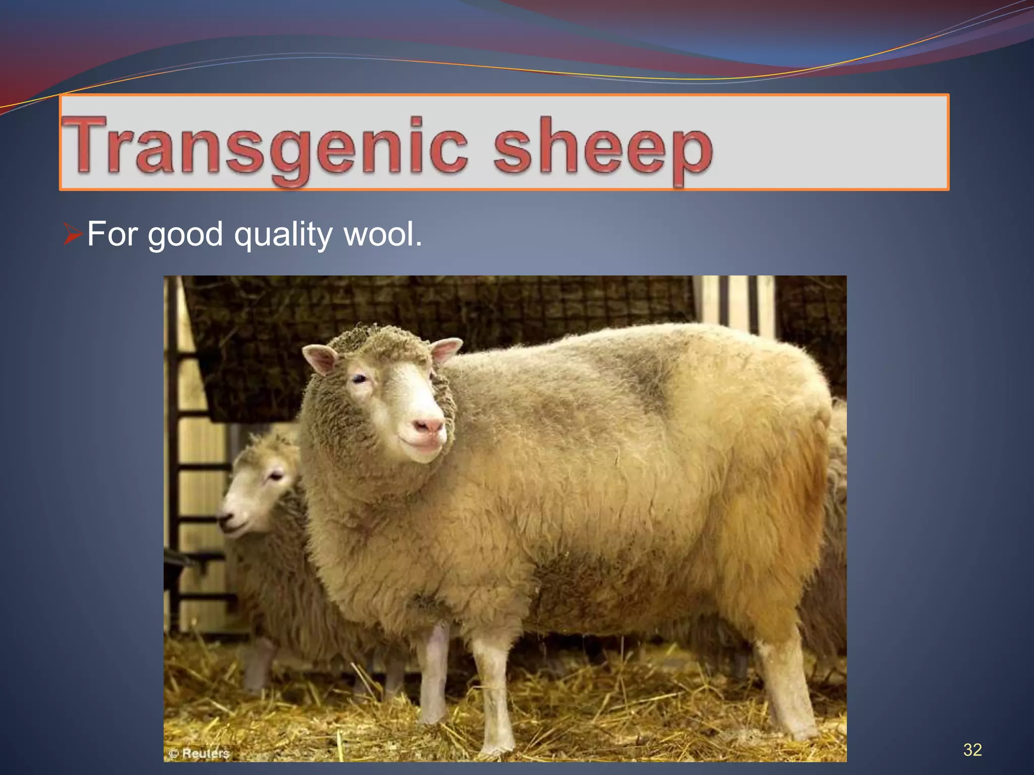 Transgenic Animals | PPTX