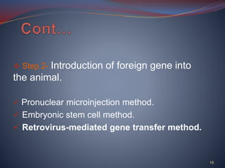 Transgenic Animals | PPTX