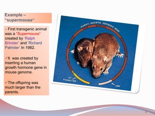 Transgenic Animals Mice