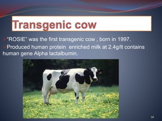 Transgenic Animals | PPT