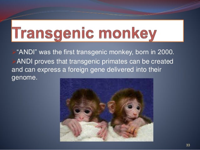 Transgenic Animals