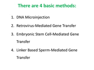 Transgenic animals | PPT