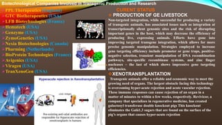 Transgenic animals- Sharmista | PPT