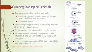 Transgenic animals | PPTX
