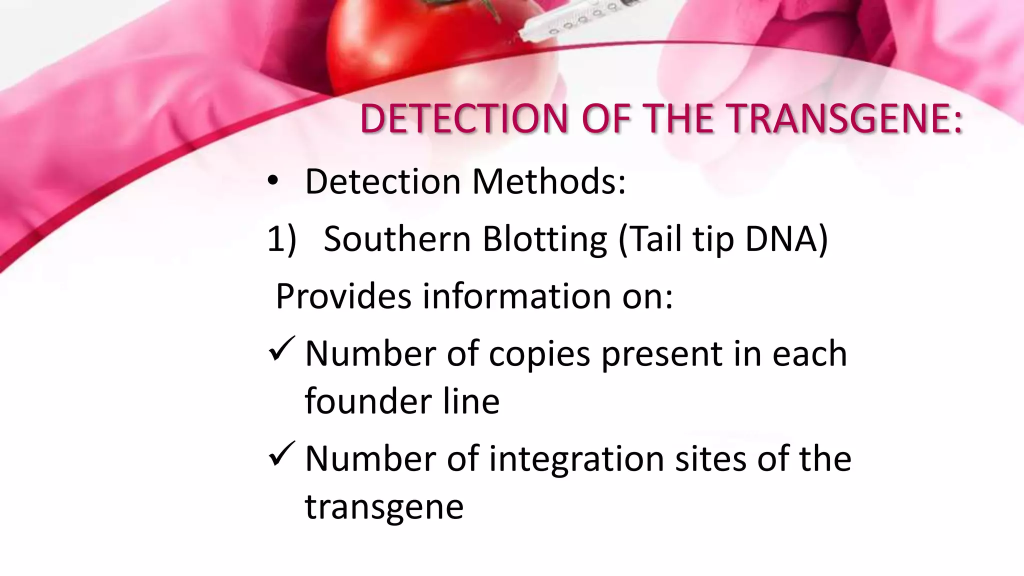 Transgenic animals mice for students | PPTX