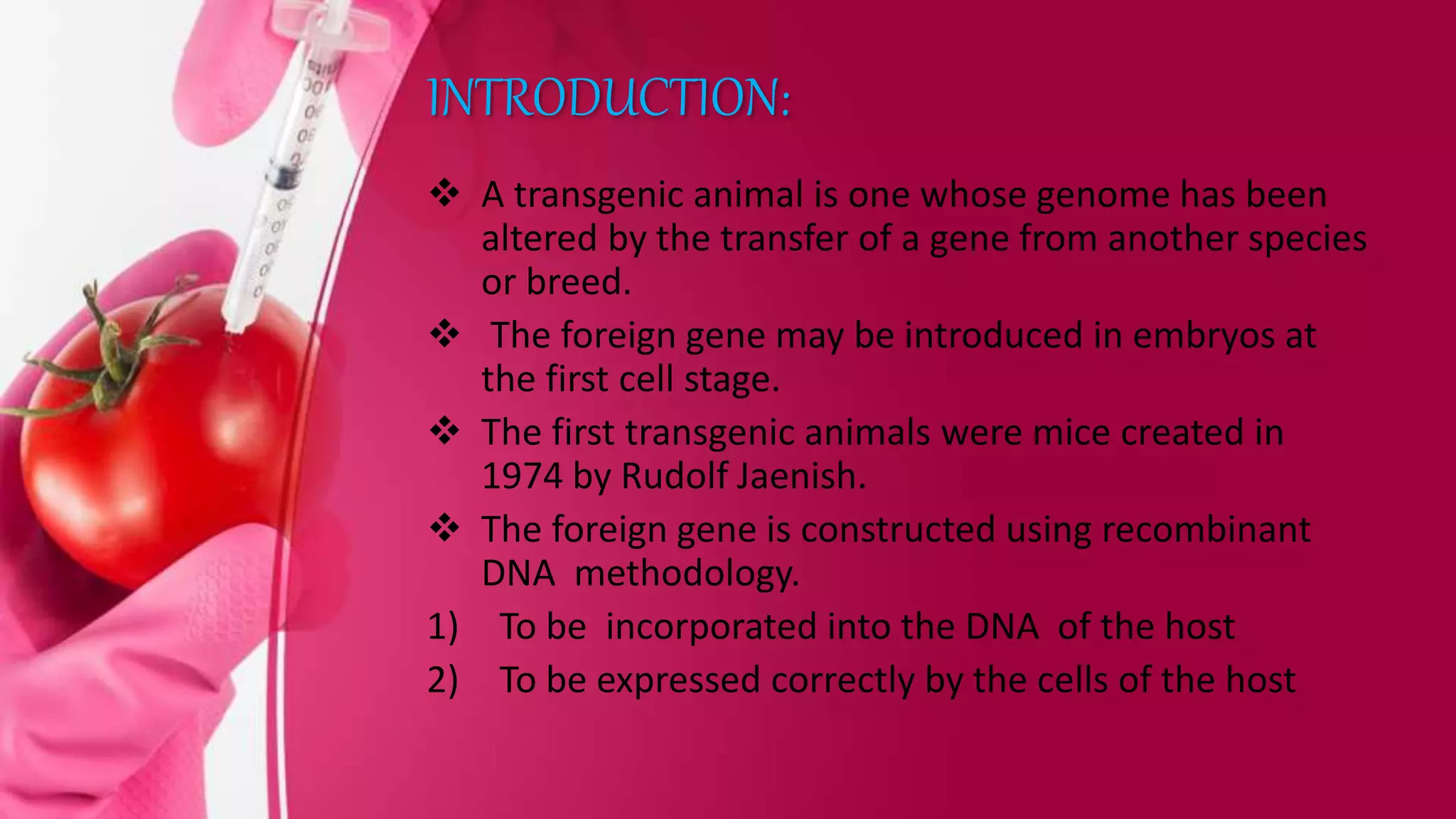 Transgenic animals mice for students | PPTX