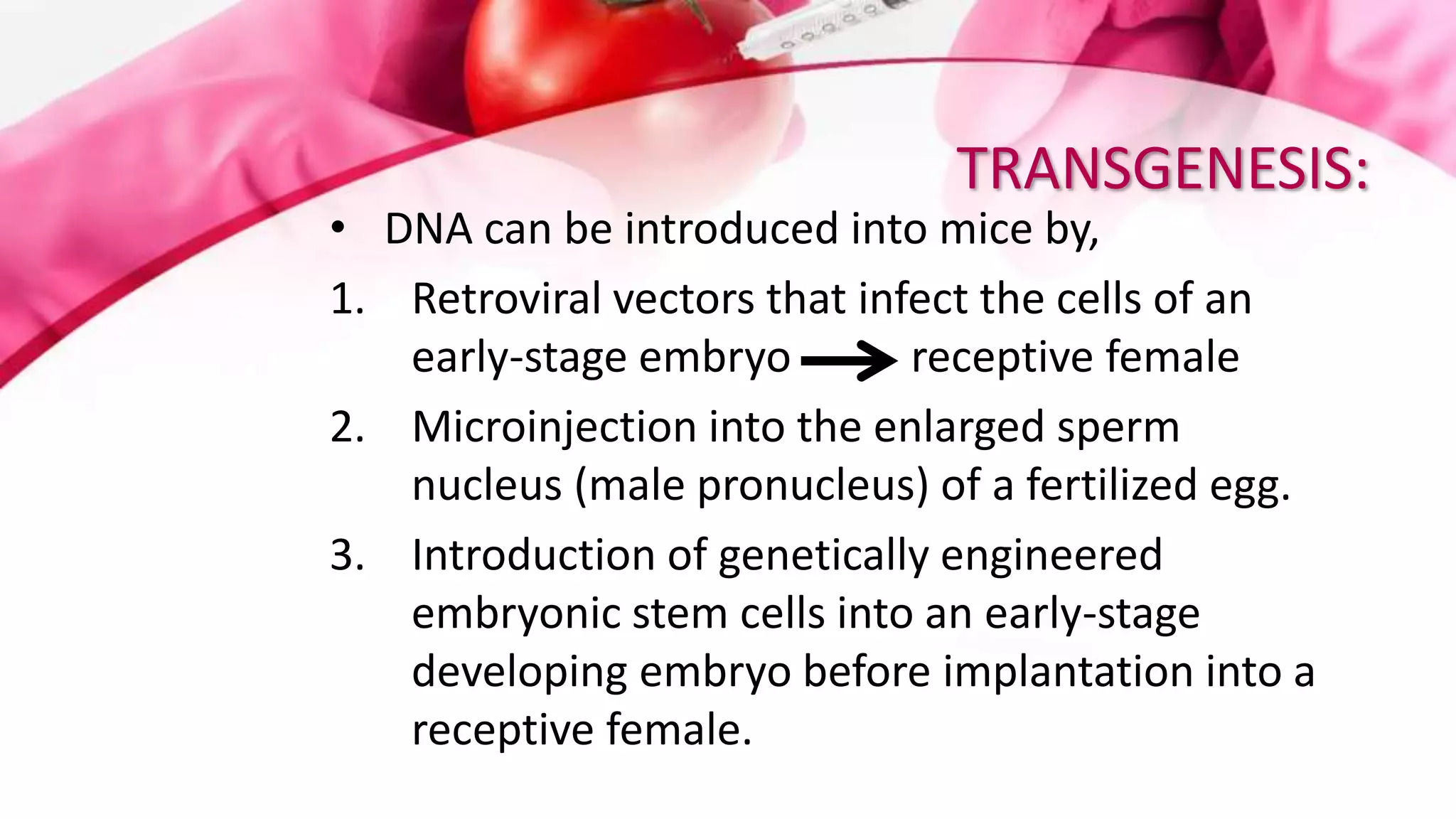 Transgenic animals mice for students | PPTX
