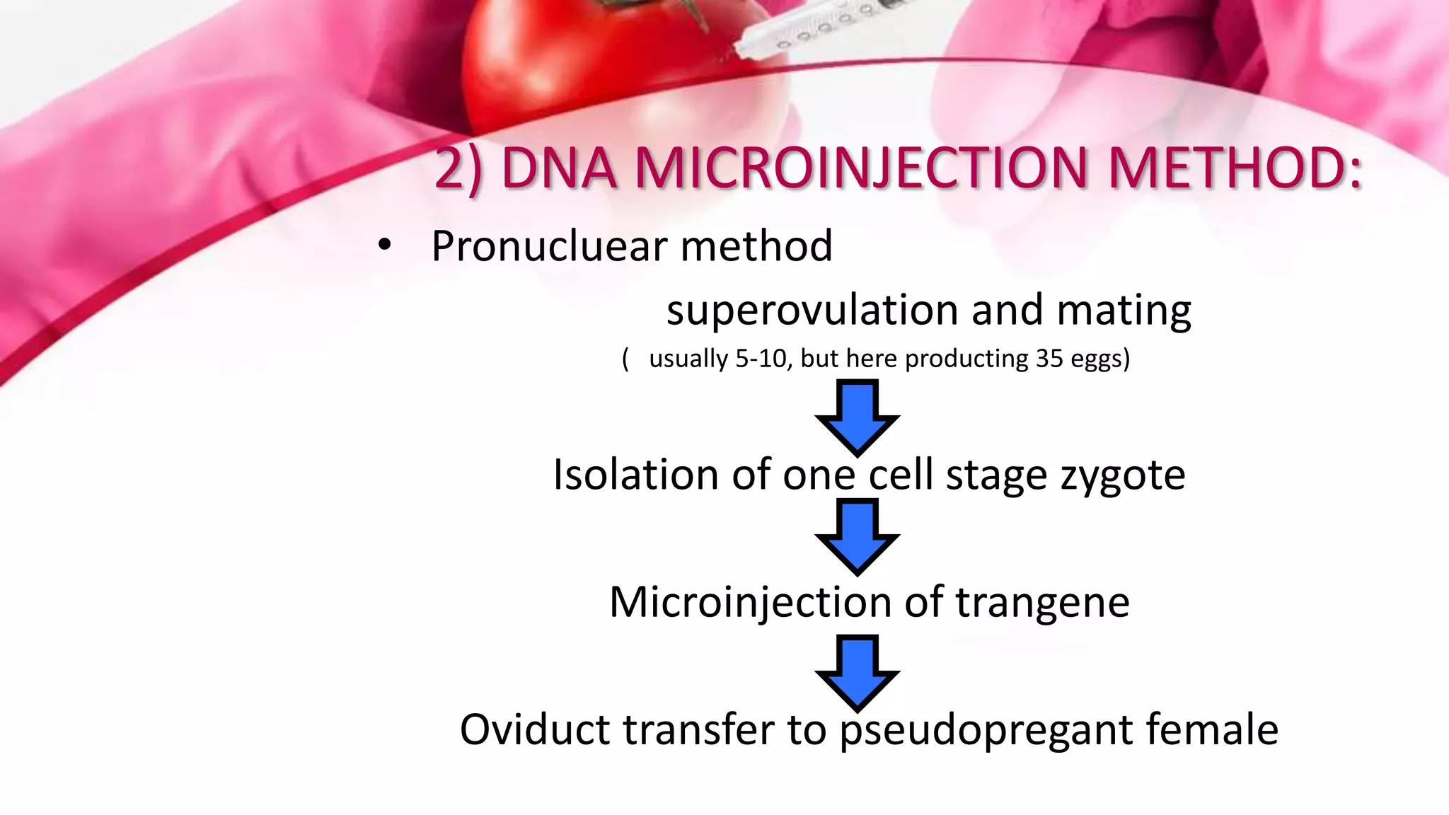 Transgenic animals mice for students | PPTX