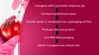 Transgenic animals mice for students | PPTX