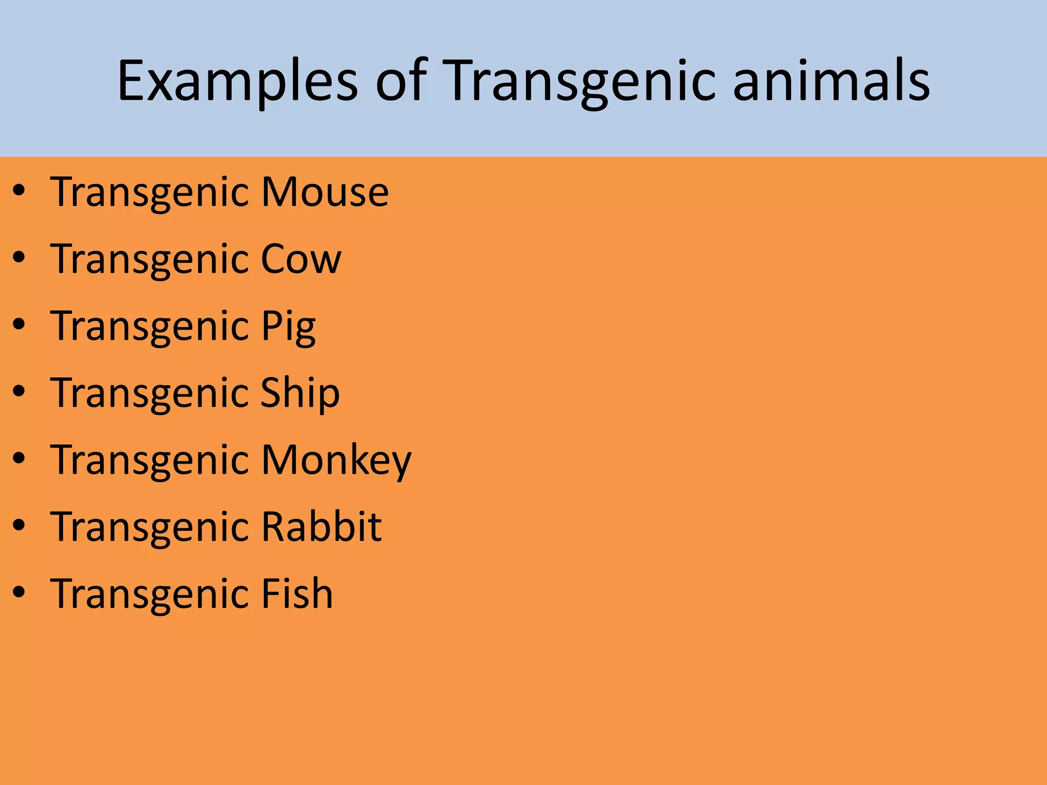 Transgenic animals | PPTX