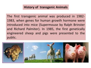 Transgenic animals | PPTX