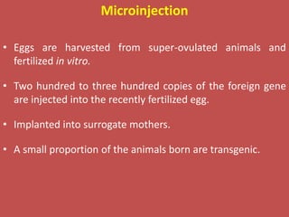 Transgenic animals | PPTX