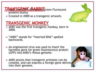 Transgenic animals | PPT