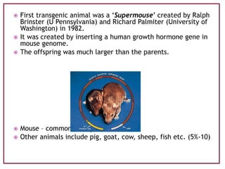 Transgenic animals | PPTX