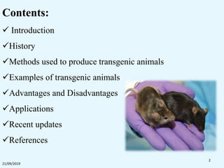 Transgenic animals | PPT
