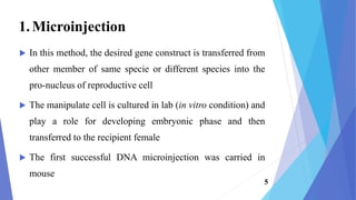 Transgenic animals | PPTX
